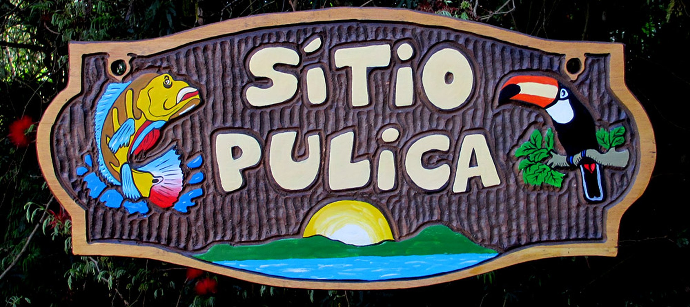 Placa entalhada em madeira Sítio Pulica - Pica-pau Entalhes - Brasões ...